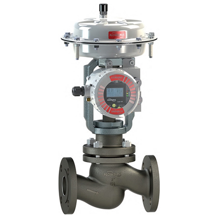 Process Control Valves - PPS Professional Process Systems